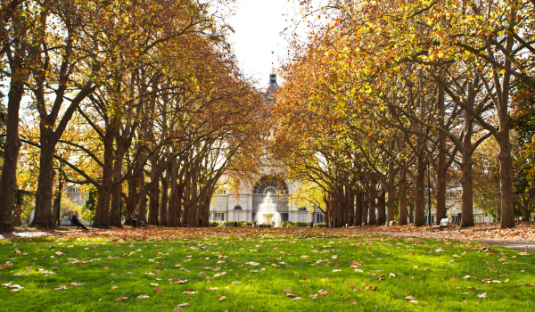 Carlton Historical Walking Tour